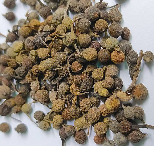 Gorilla Peppers (Grains of Selim, Uda (Igbo name in Nigeria), Ethiopia ...