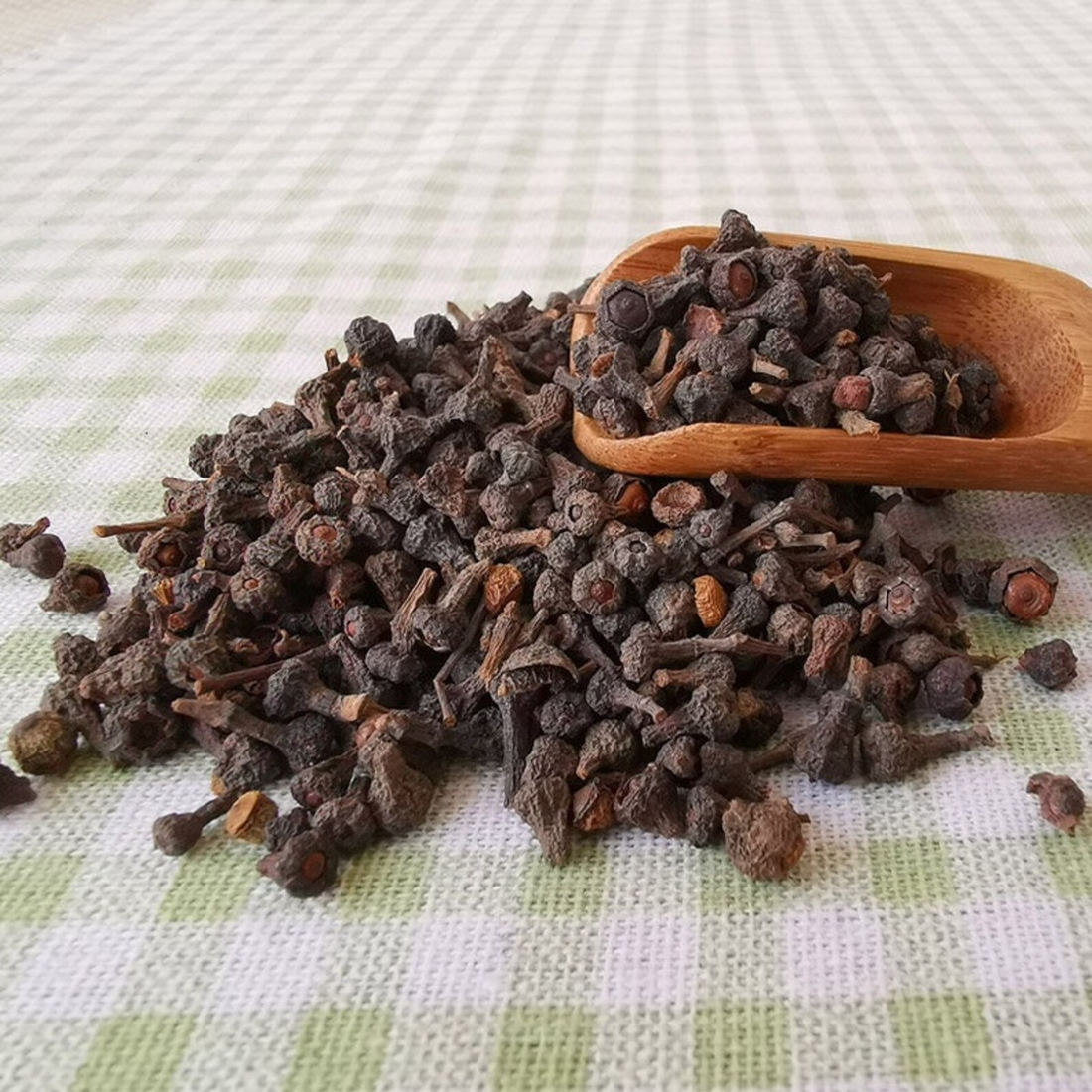 Organic Dried Japanese cinnamon fruit, Fructus Cinnamomi Japonici, Cin ...